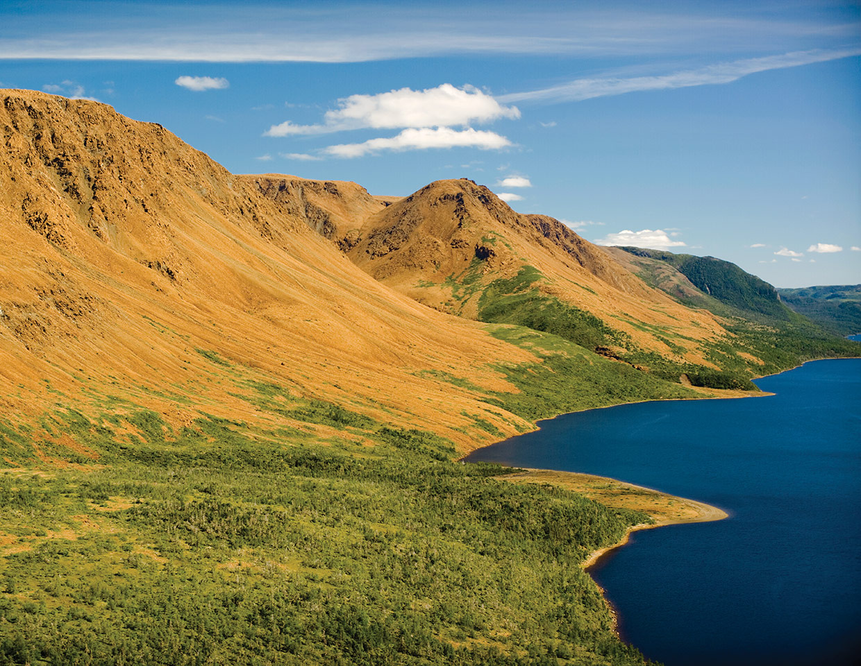 Seaside Suites – Woody Point, NL